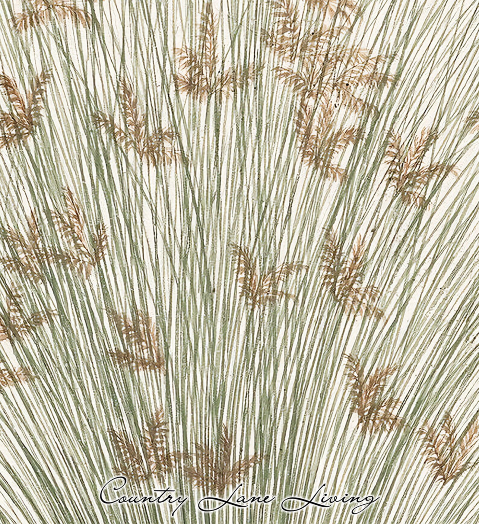 Papyrus Botanical Plant Watercolor Drawing Download-warm Toned - Etsy