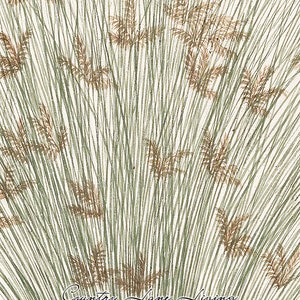 Papyrus Botanical Plant Watercolor Drawing Download-warm Toned Vintage ...