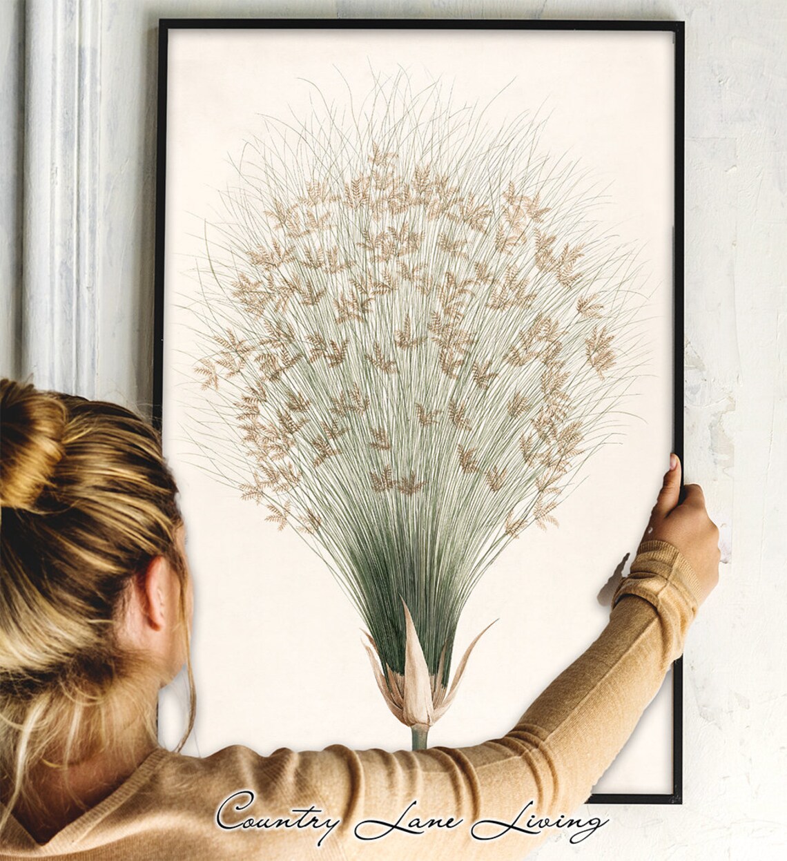 Papyrus Botanical Plant Watercolor Drawing Download-warm Toned - Etsy