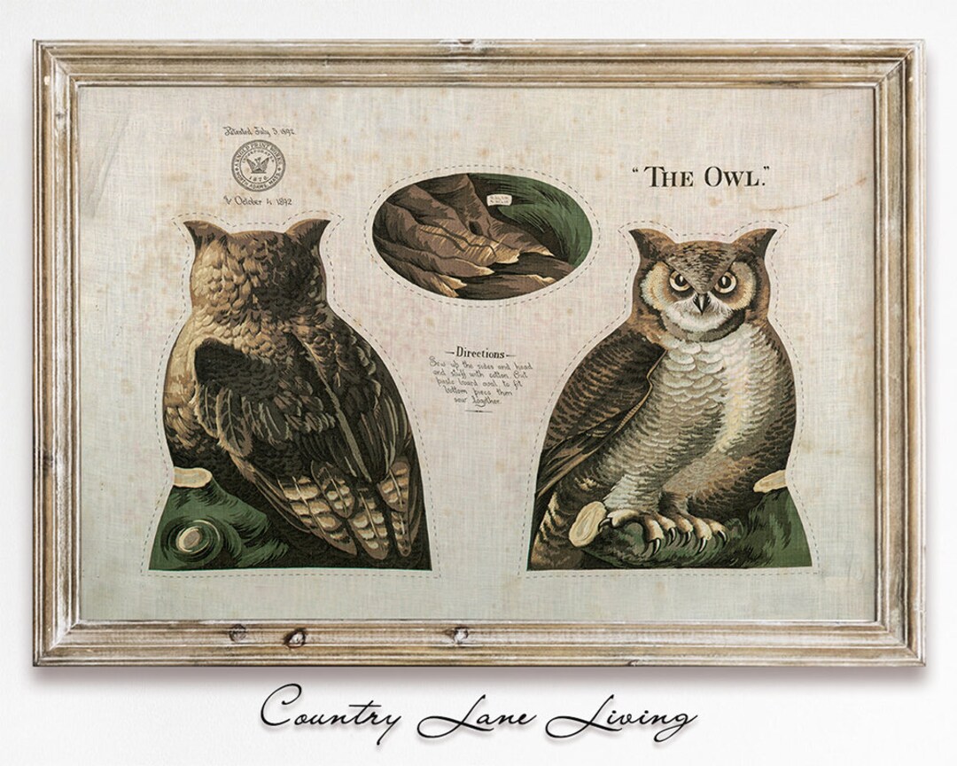 Vintage Owl Cloth Pattern Print Illustration Download Classic Rustic ...