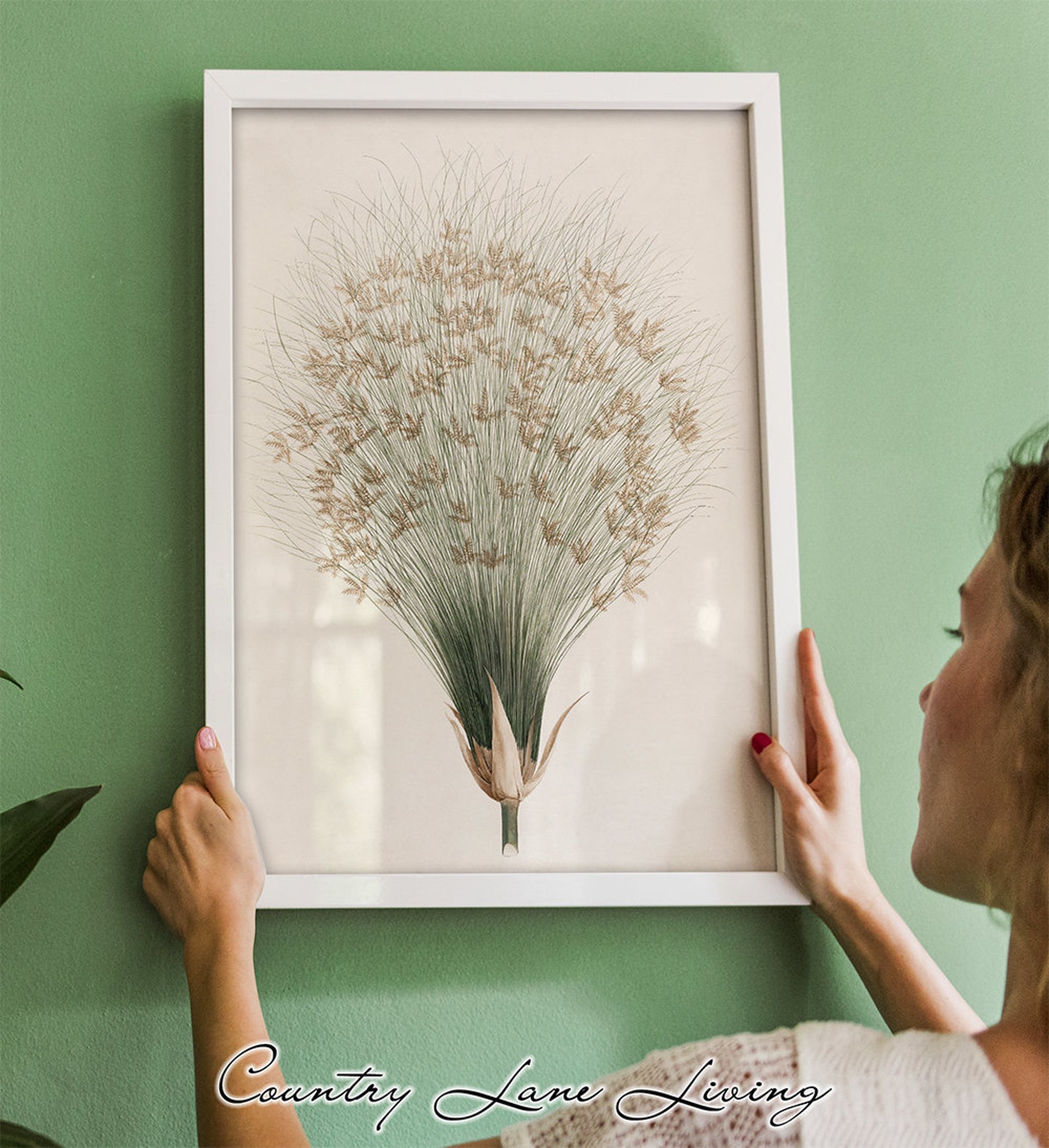 Papyrus Botanical Plant Watercolor Drawing Download-warm Toned - Etsy