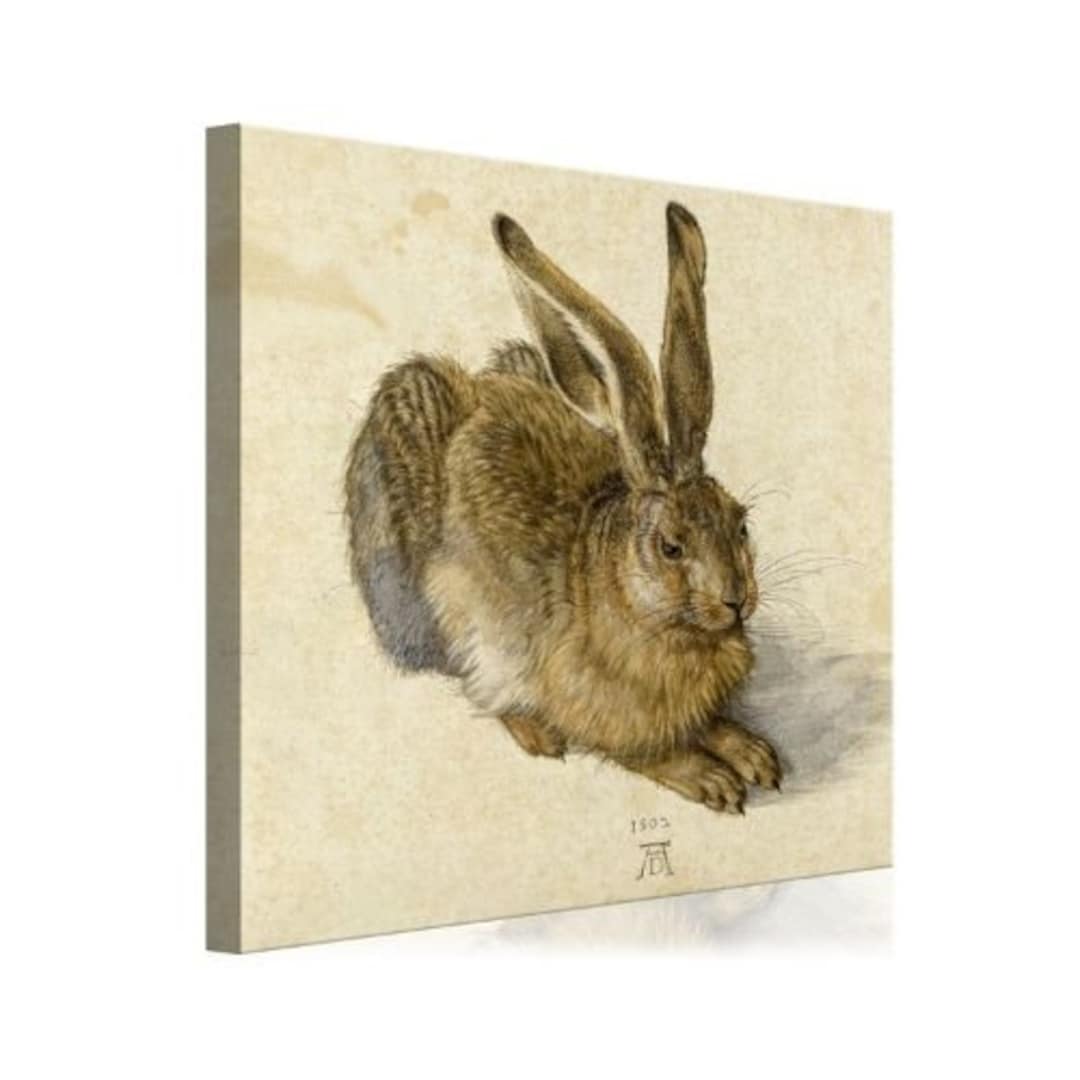 Young Hare by Albrecht Dürer Large German Renaissance Rabbit Easter ...