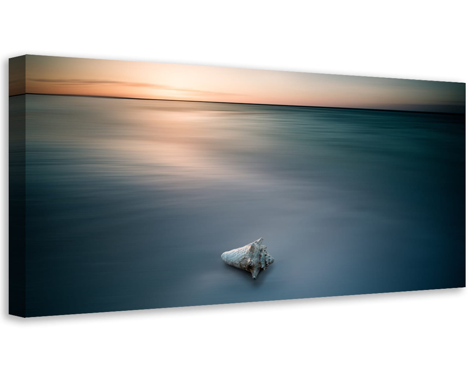 Large Canvas Wall Art Beach Shell Stretched on a Heavy - Etsy