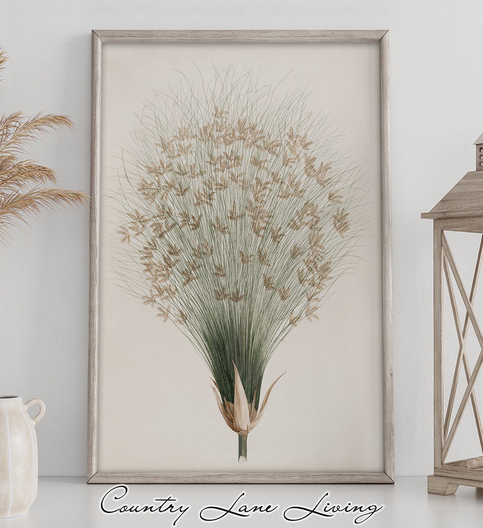 Papyrus Botanical Plant Watercolor Drawing Download-warm Toned - Etsy