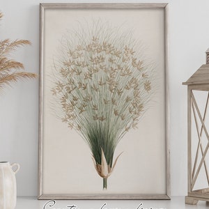 Papyrus Botanical Plant Watercolor Drawing Download-warm Toned Vintage ...