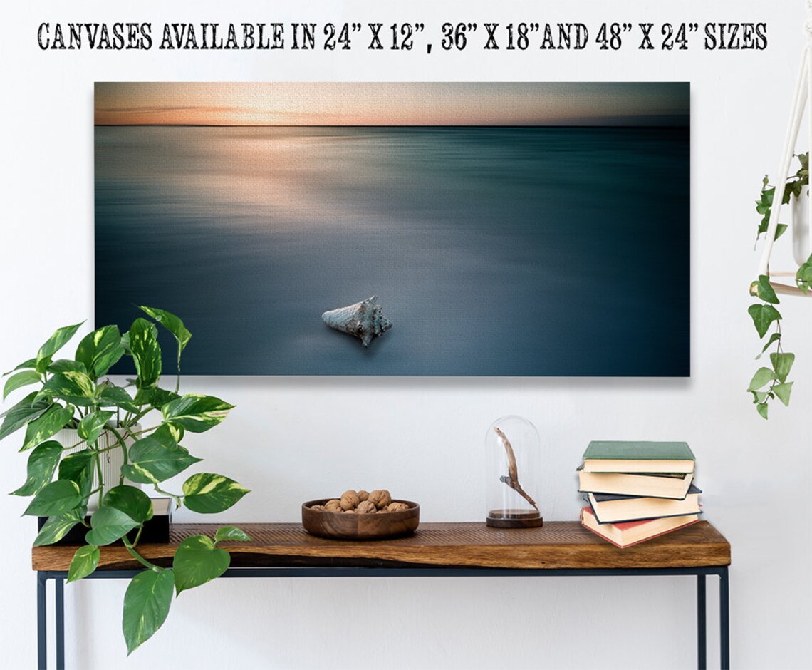 Large Canvas Wall Art Beach Shell Stretched on a Heavy - Etsy