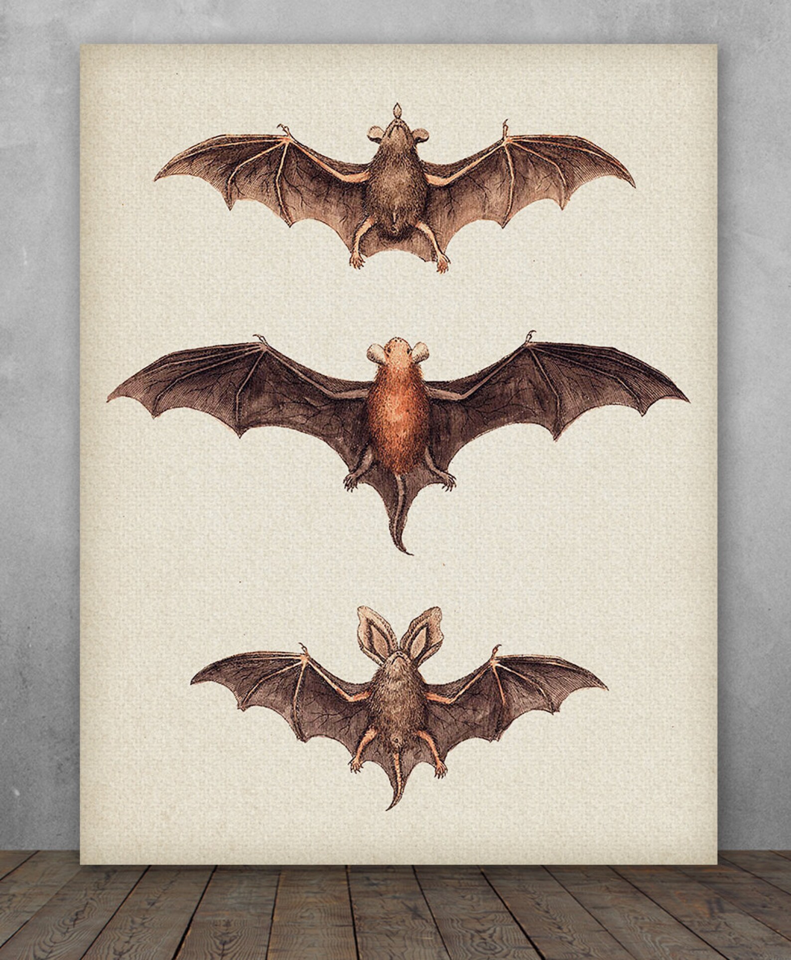 Canvas Vintage Bat Painting Choose Unframed Poster or | Etsy