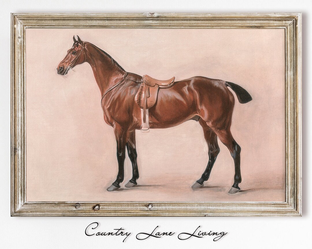 Portrait of a Horse With a Saddle Oil Painting Download warm - Etsy