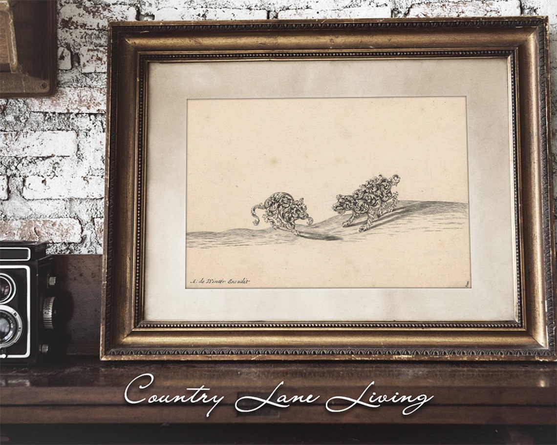 Filigree Calligraphy Dog and Cat Fighting Drawing Download | Etsy