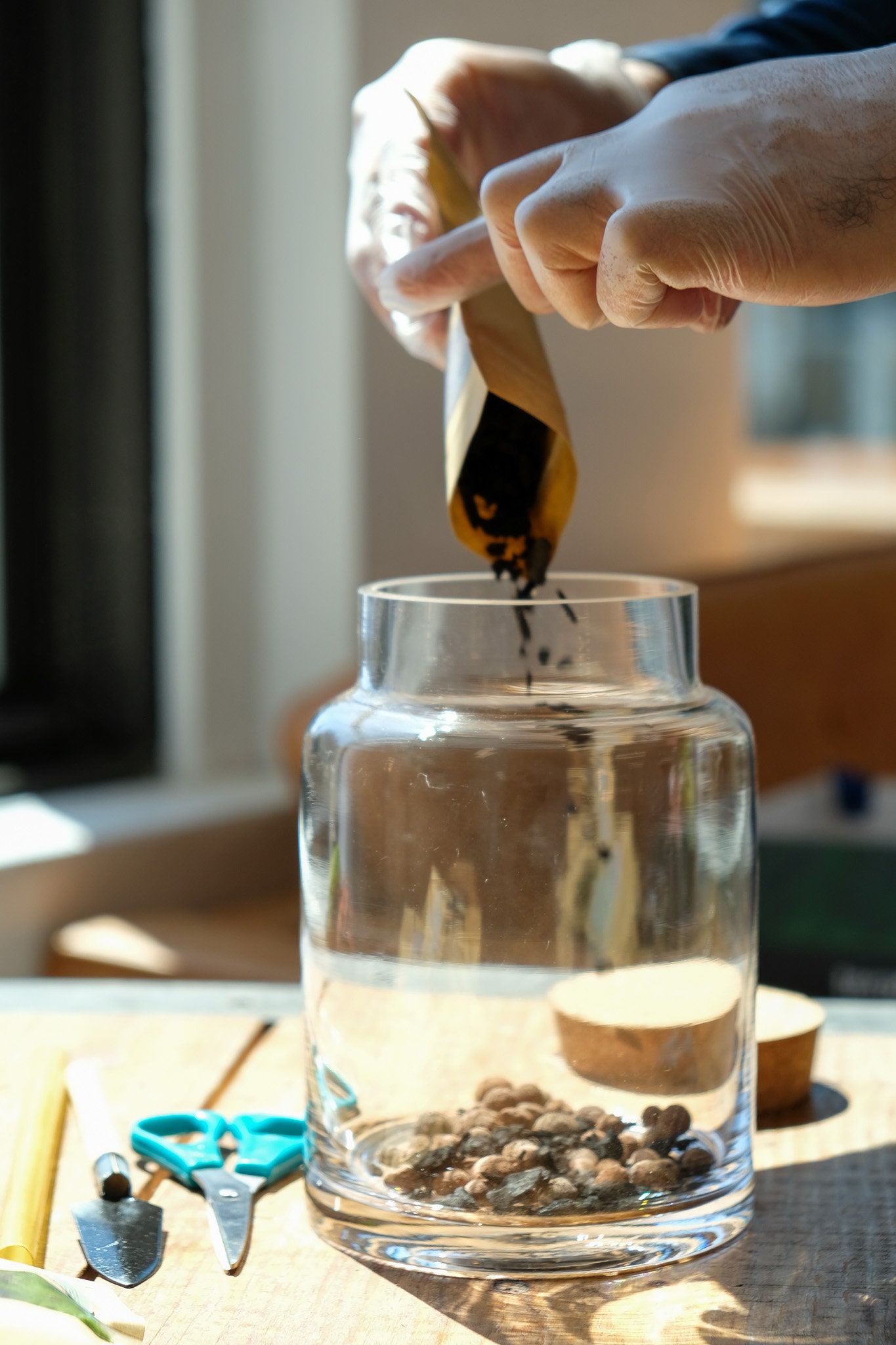 Terrarium DIY KIT - Self-sustaining Ecosystem - Etsy