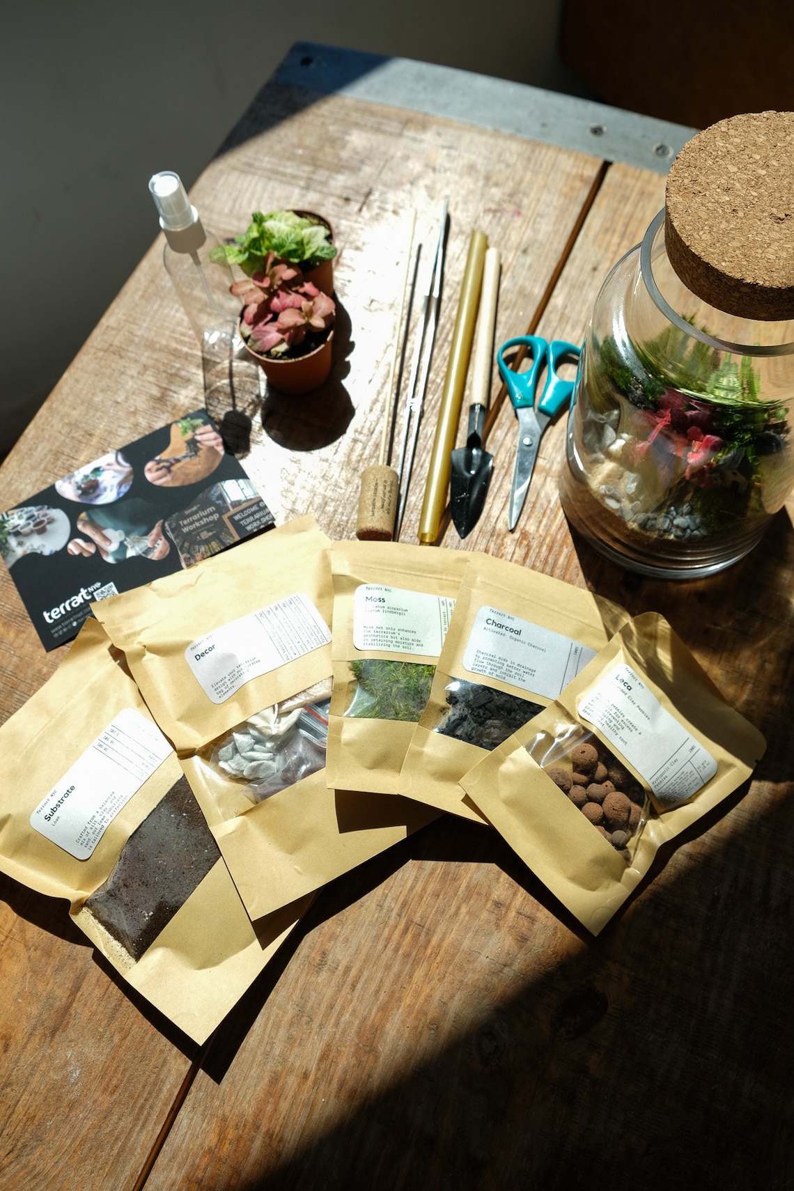 Terrarium DIY KIT - Self-sustaining Ecosystem - Etsy