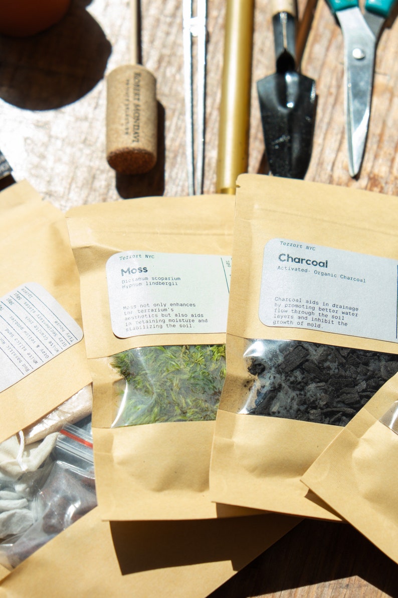 Terrarium DIY KIT - Self-sustaining Ecosystem - Etsy