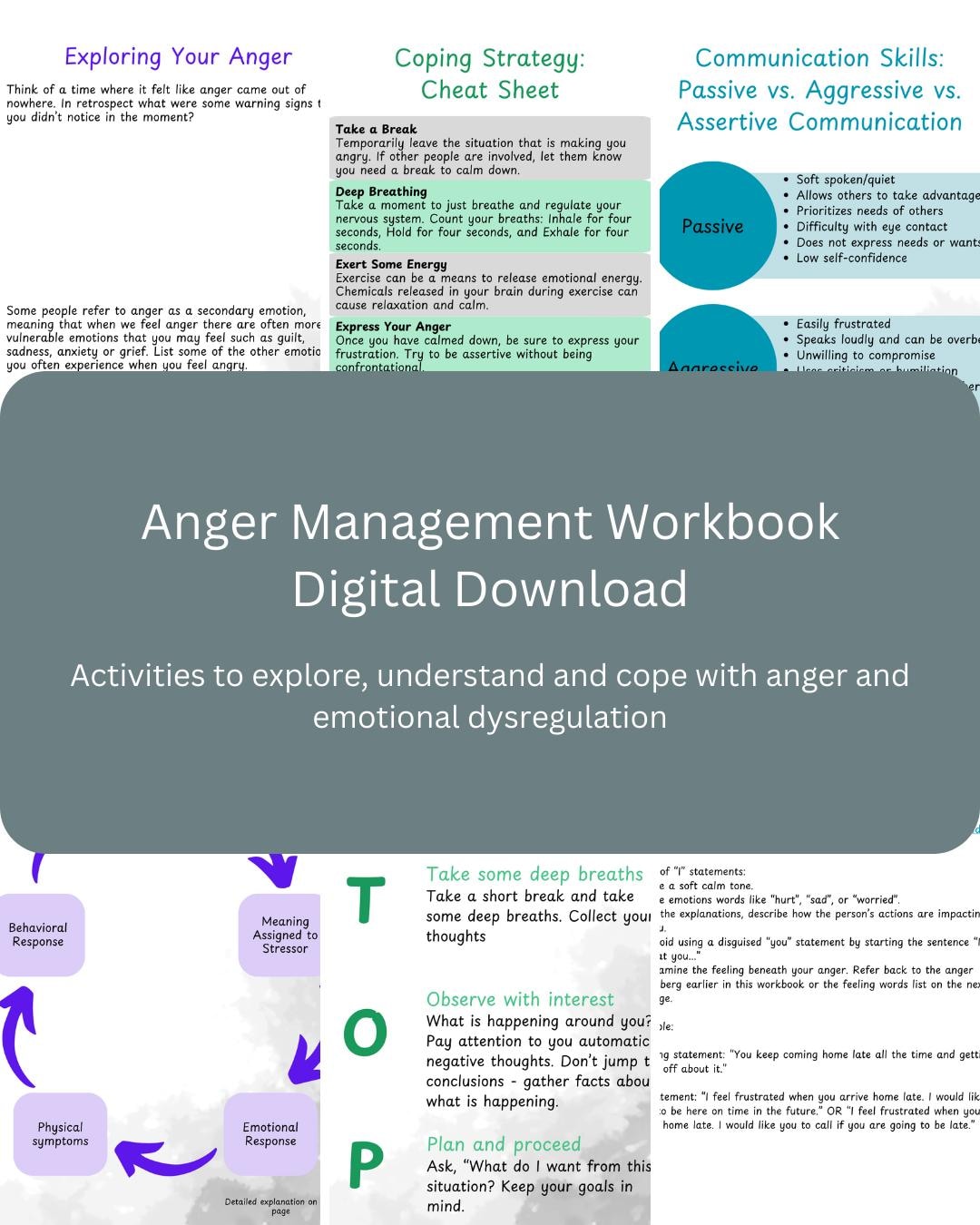 Anger Management Workbook: Emotional Regulation, Therapy Worksheets ...