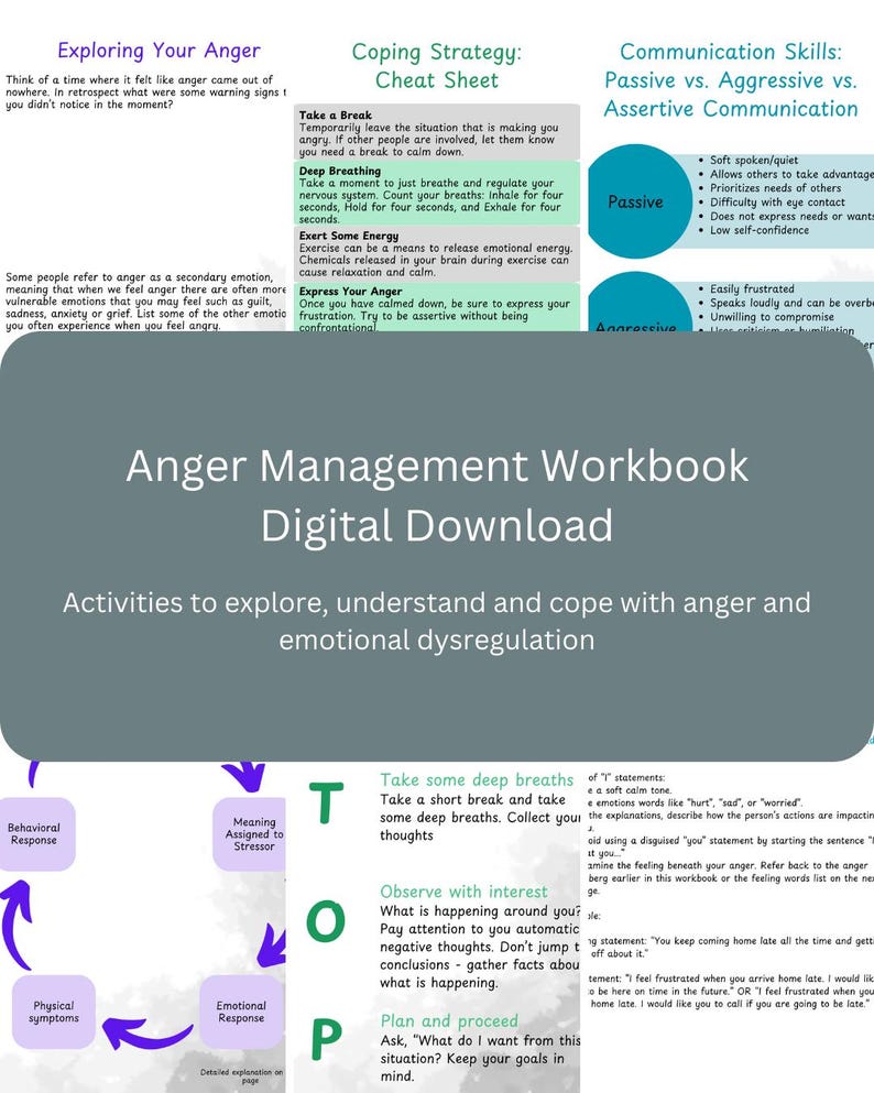 Anger Management Workbook: Emotional Regulation, Therapy Worksheets ...