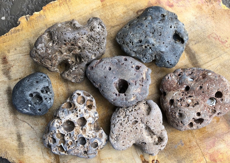 Hag Stones Witch Stones Adder Stones Snake Eggs Hex - Etsy