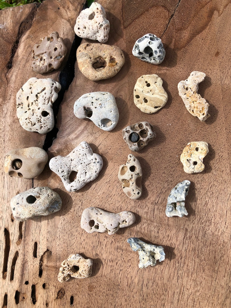 Hag Stones Witch Stones Adder Stones Snake Eggs Hex - Etsy