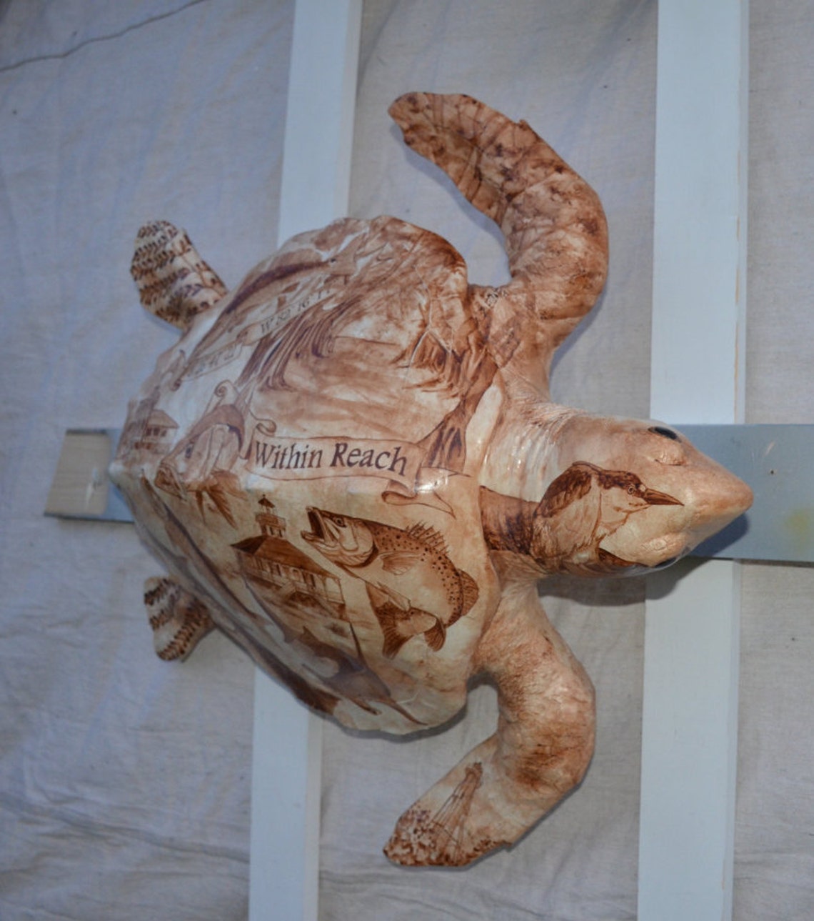 Custom Tattooed Turtle Mount - Etsy