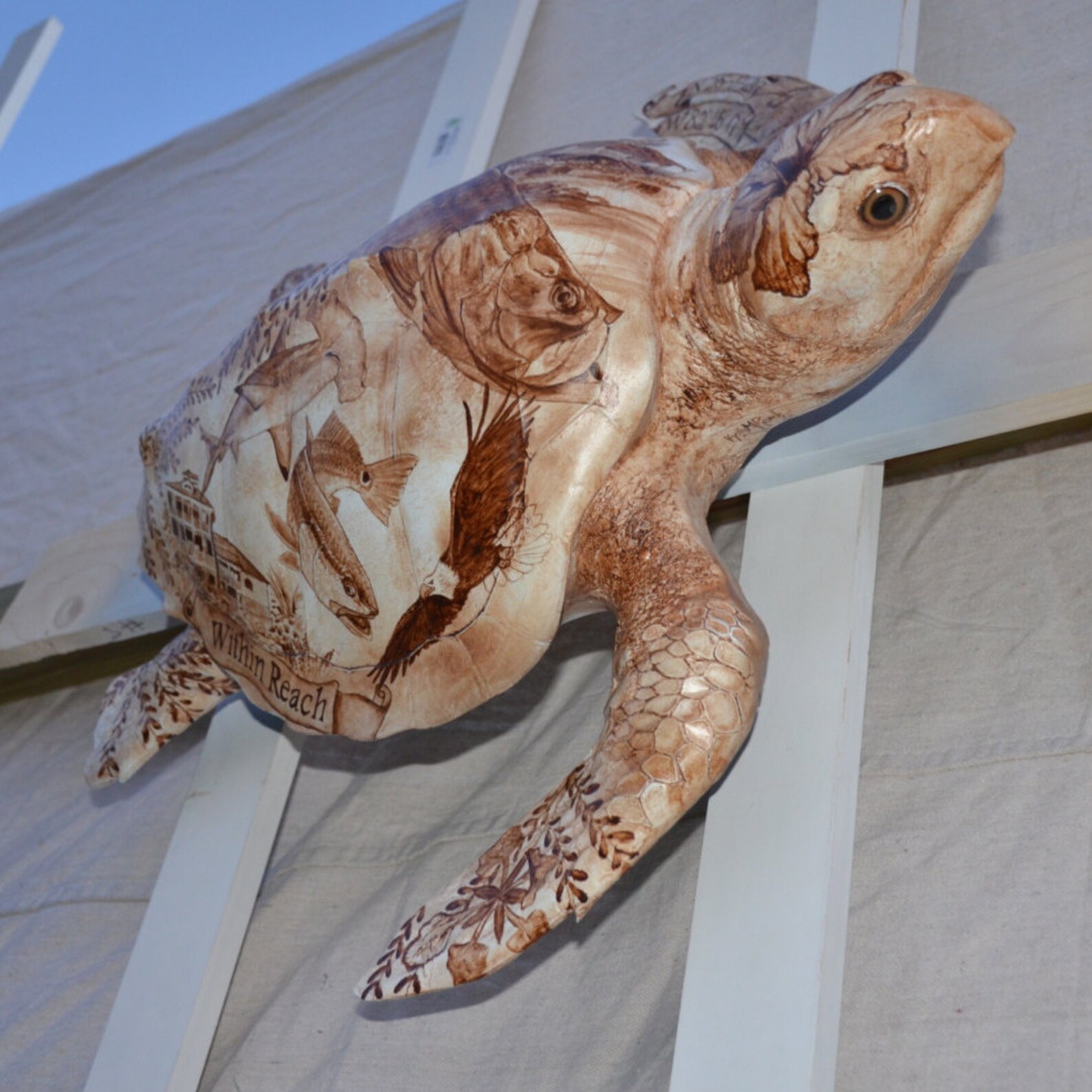 Custom Tattooed Turtle Mount - Etsy