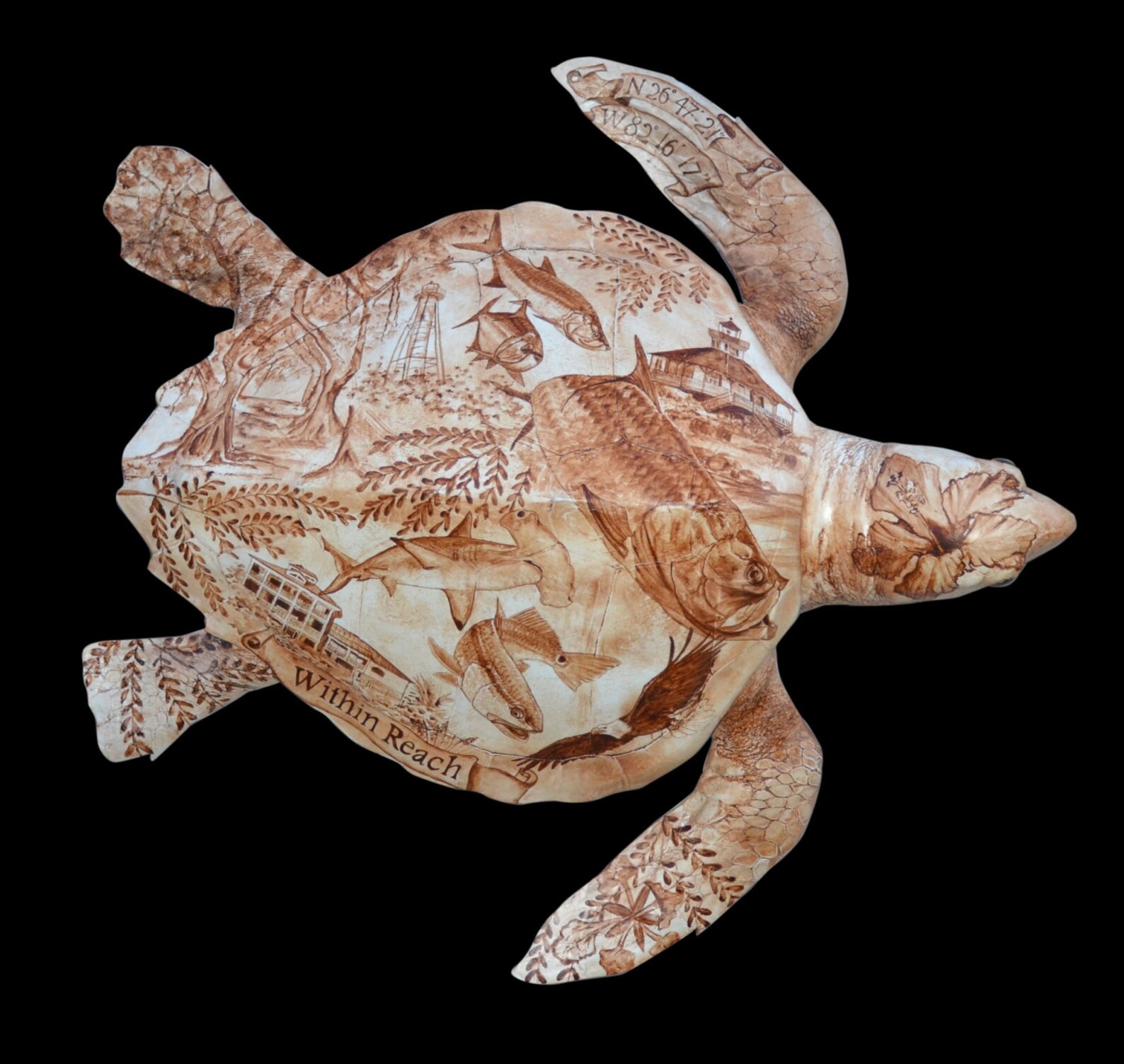 Custom Tattooed Turtle Mount - Etsy