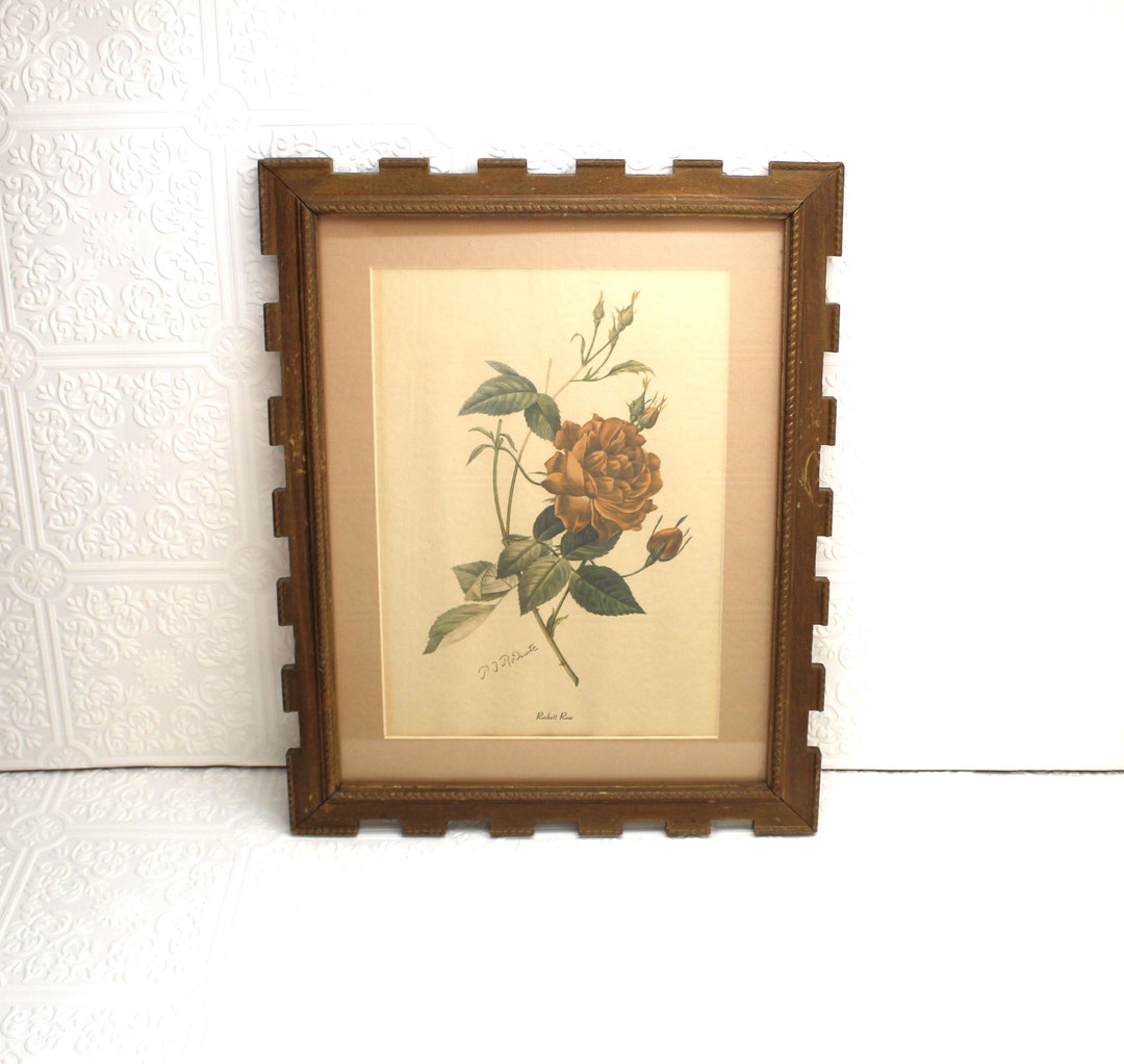 Vintage Botanical Print Picture P.J. Redoute Rose Wall Hanging Rockett ...