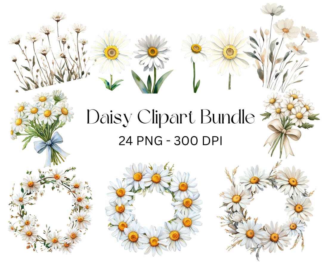 Watercolor Daisy Clipart, Floral PNG, Spring Flower (digital Download ...