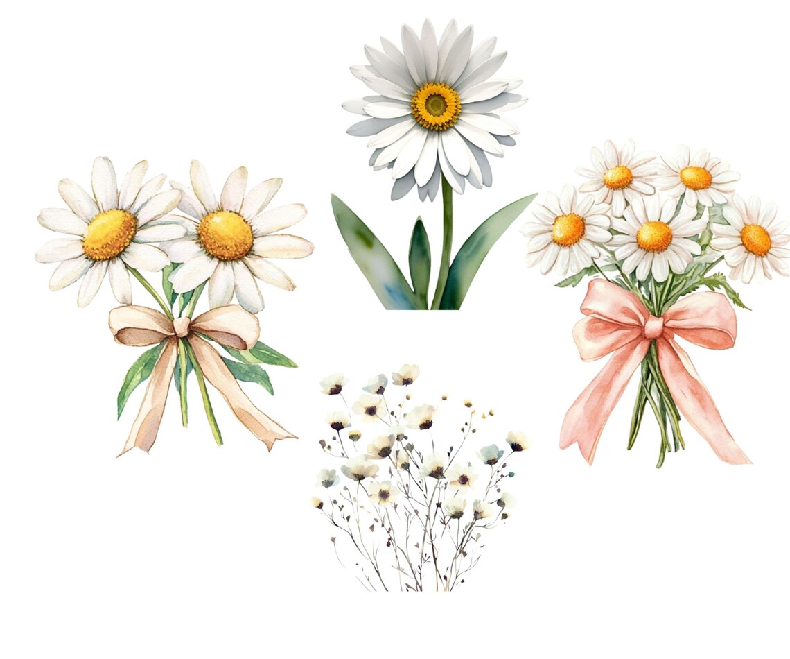 Watercolor Daisy Clipart, Floral PNG, Spring Flower (digital Download ...