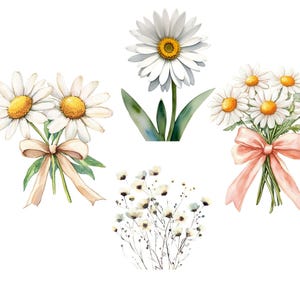 Watercolor Daisy Clipart, Floral PNG, Spring Flower (digital Download ...