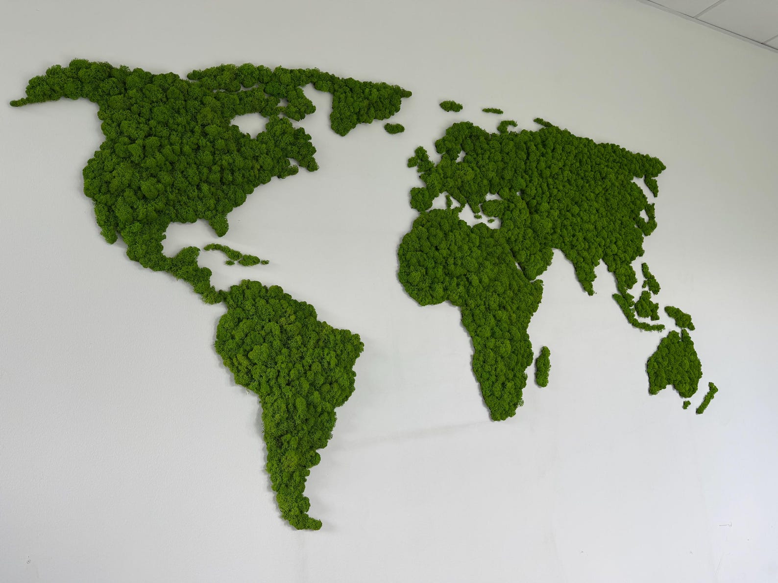 Moss World Map - Etsy