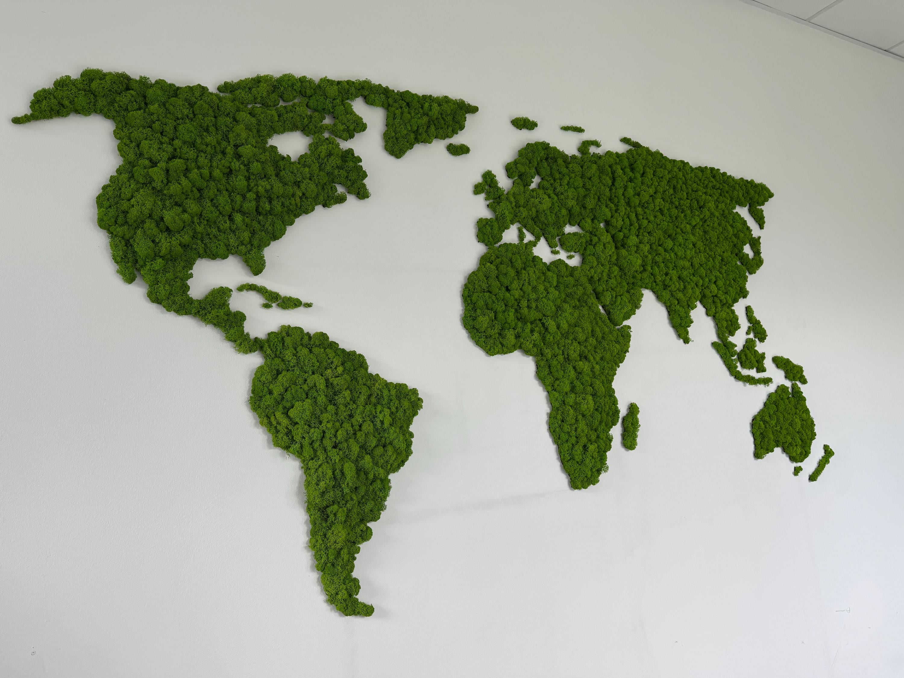 Moss World Map - Etsy