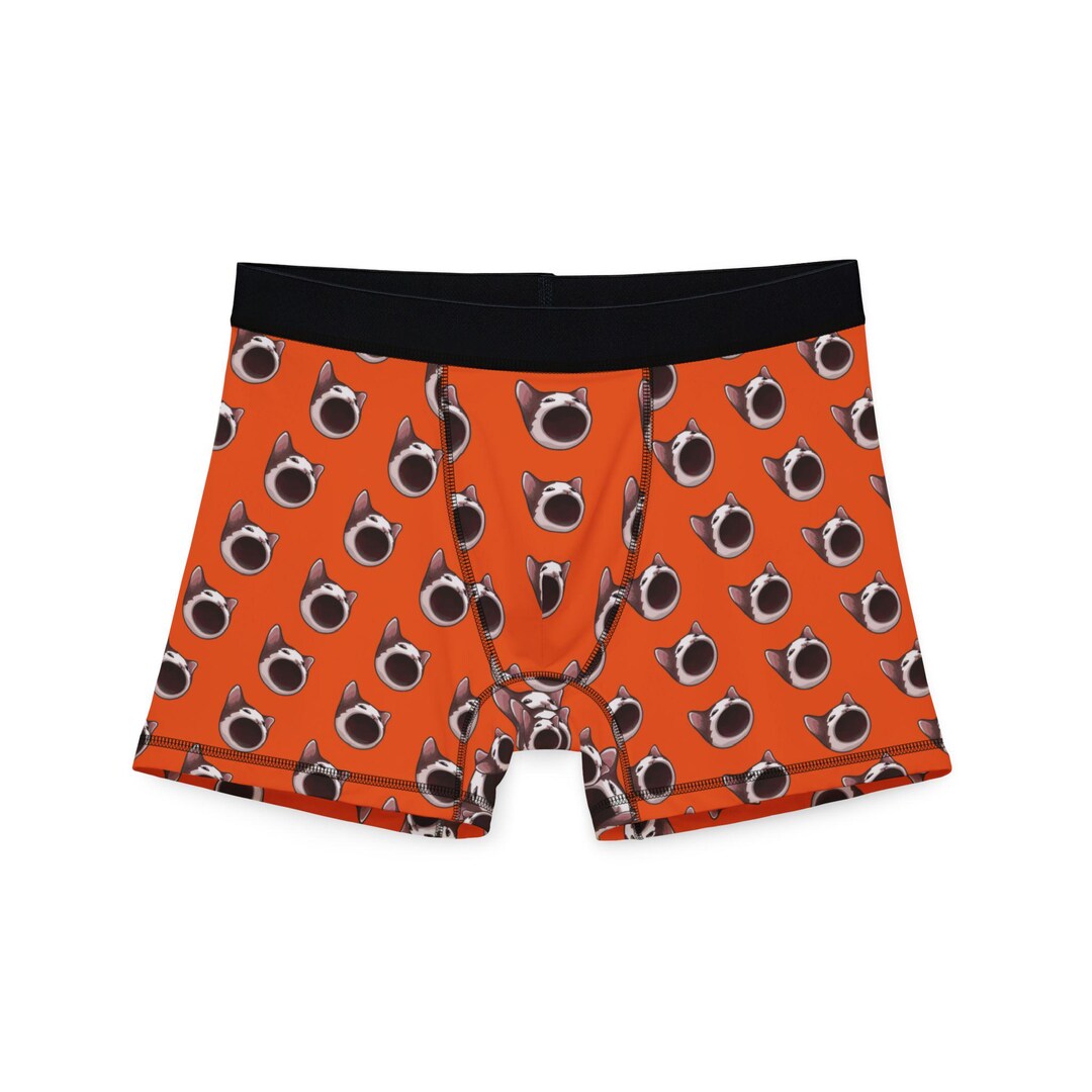 Popcat Meme Coin Underwear - Fun and Comfortable Boxer Briefs for ...