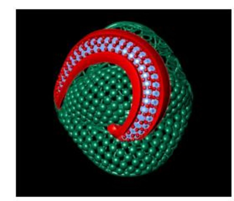 2024 New 15 Rings 3DM 3D Print Model Stl Ring 3dm File 3dm File Pack - Etsy