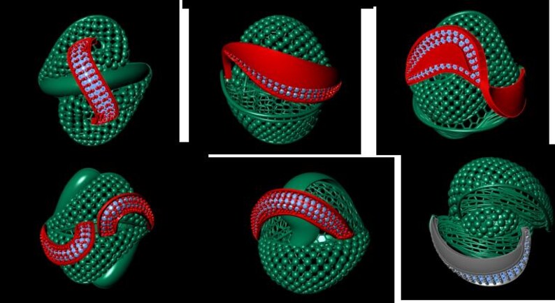 2024 New 15 Rings 3DM 3D Print Model Stl Ring 3dm File 3dm File Pack - Etsy