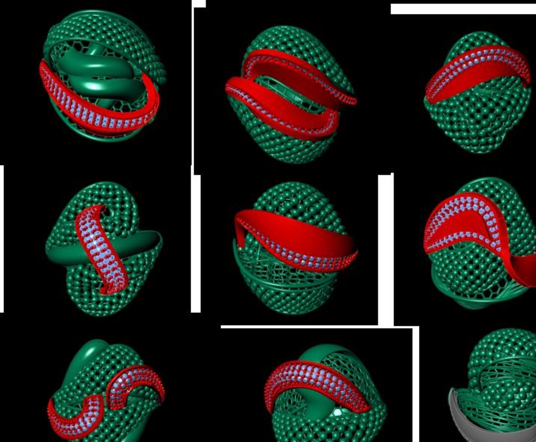 2024 New 15 Rings 3DM 3D Print Model Stl Ring 3dm File 3dm File Pack - Etsy