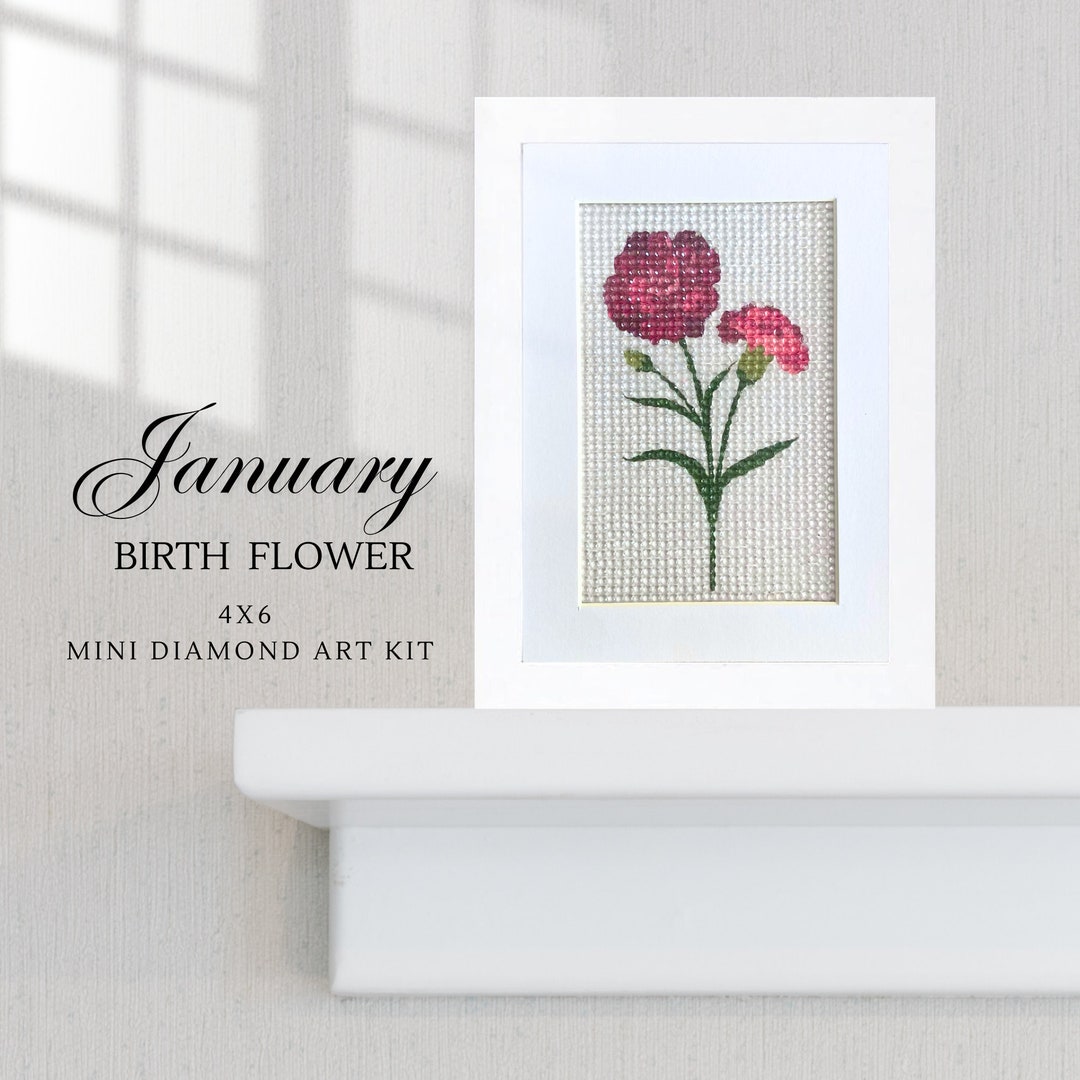 Diamond Art January Birth Month Flower Gifted Kit Framed Mini Diamond ...