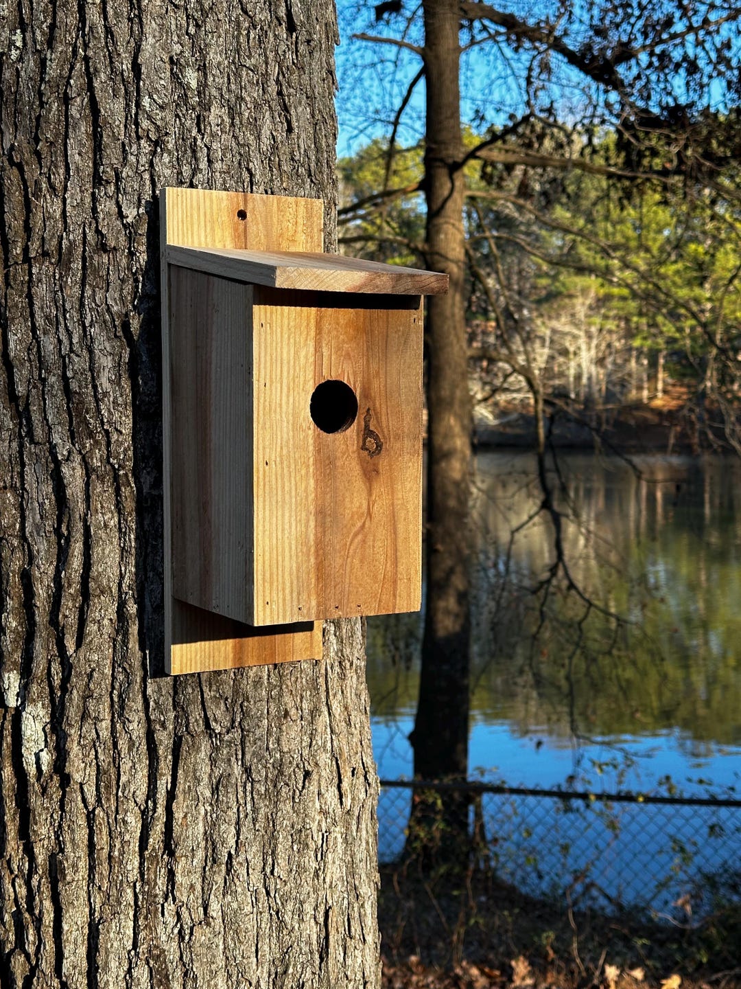 Cedar Nesting Box - Etsy