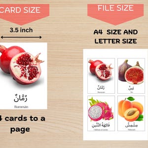 48 Fruits and Vegetables Arabic Flashcards - Montessori Activities for ...