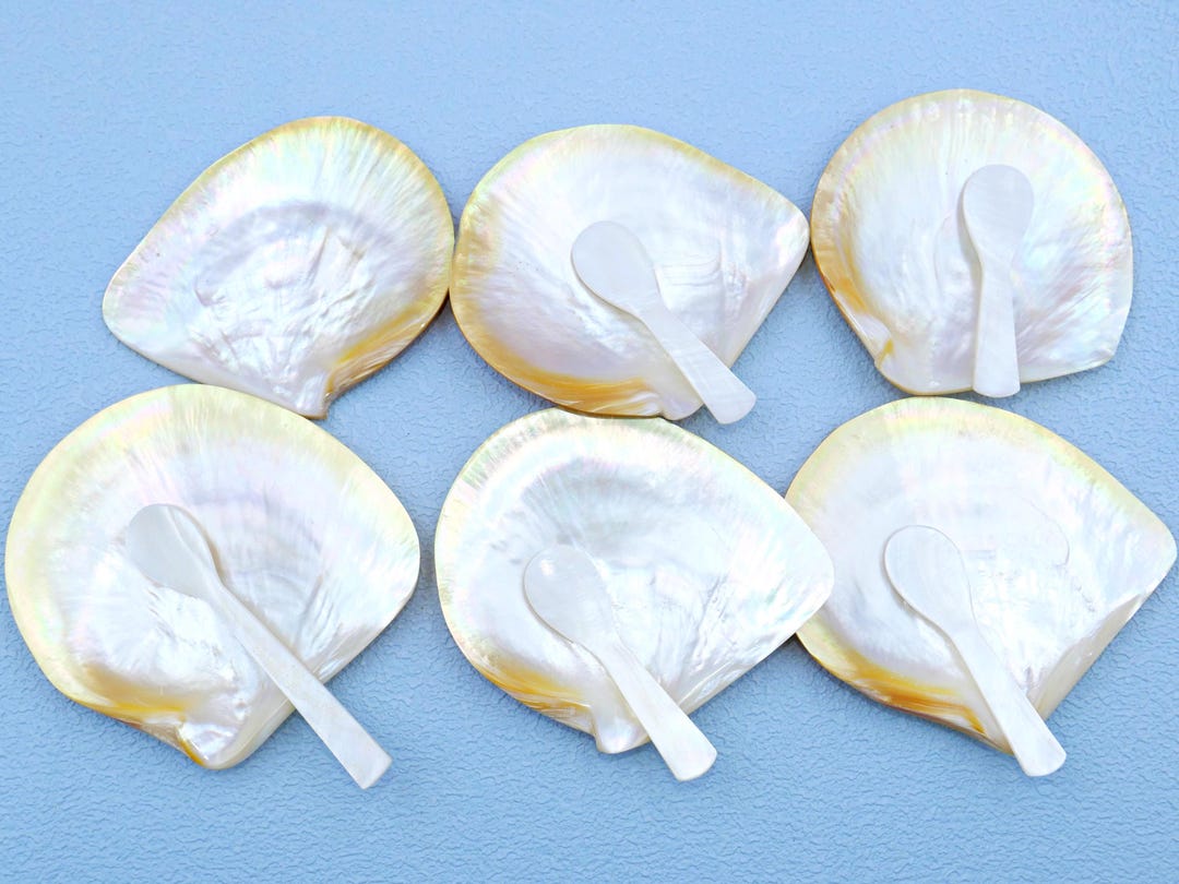 NATURAL Seashells, Caviar Serving Palette, Shell Spoon, Caviar Shell ...