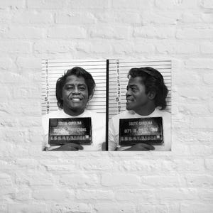 James Brown 1988 Mugshot Poster Vintage Godfather of Soul Photograph - Etsy