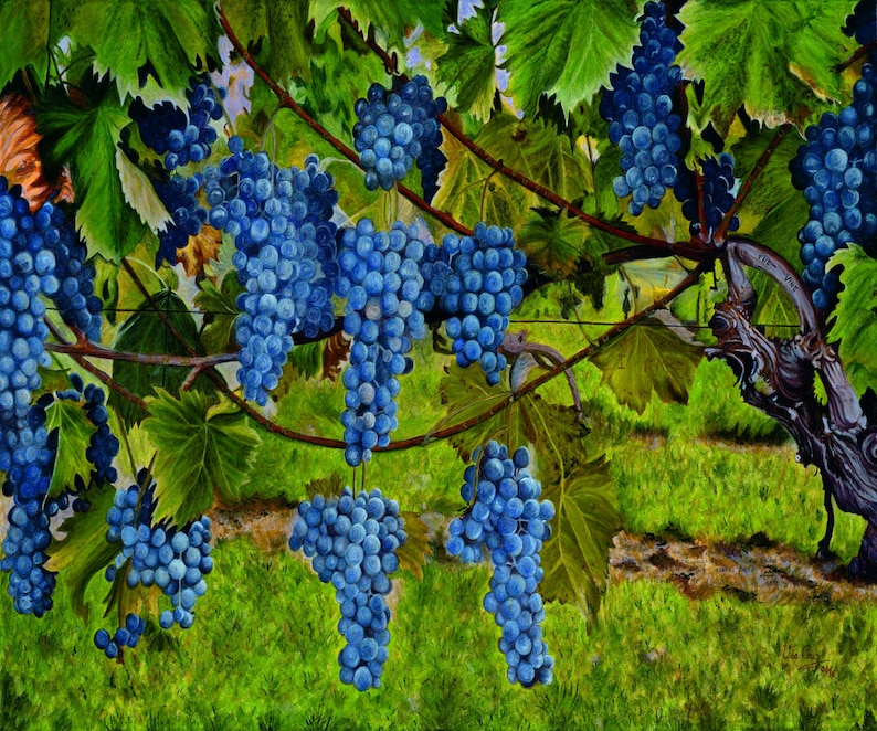 Fruit of the Spirit, Inspirational Christian Wall Art - Etsy