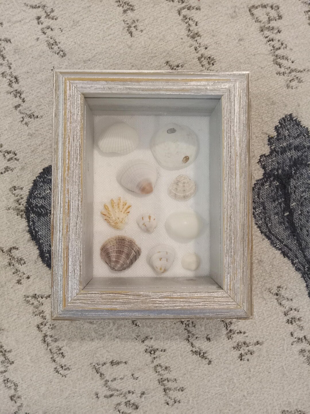 Florida Sea Shells Shadow Box 3×4 - Etsy
