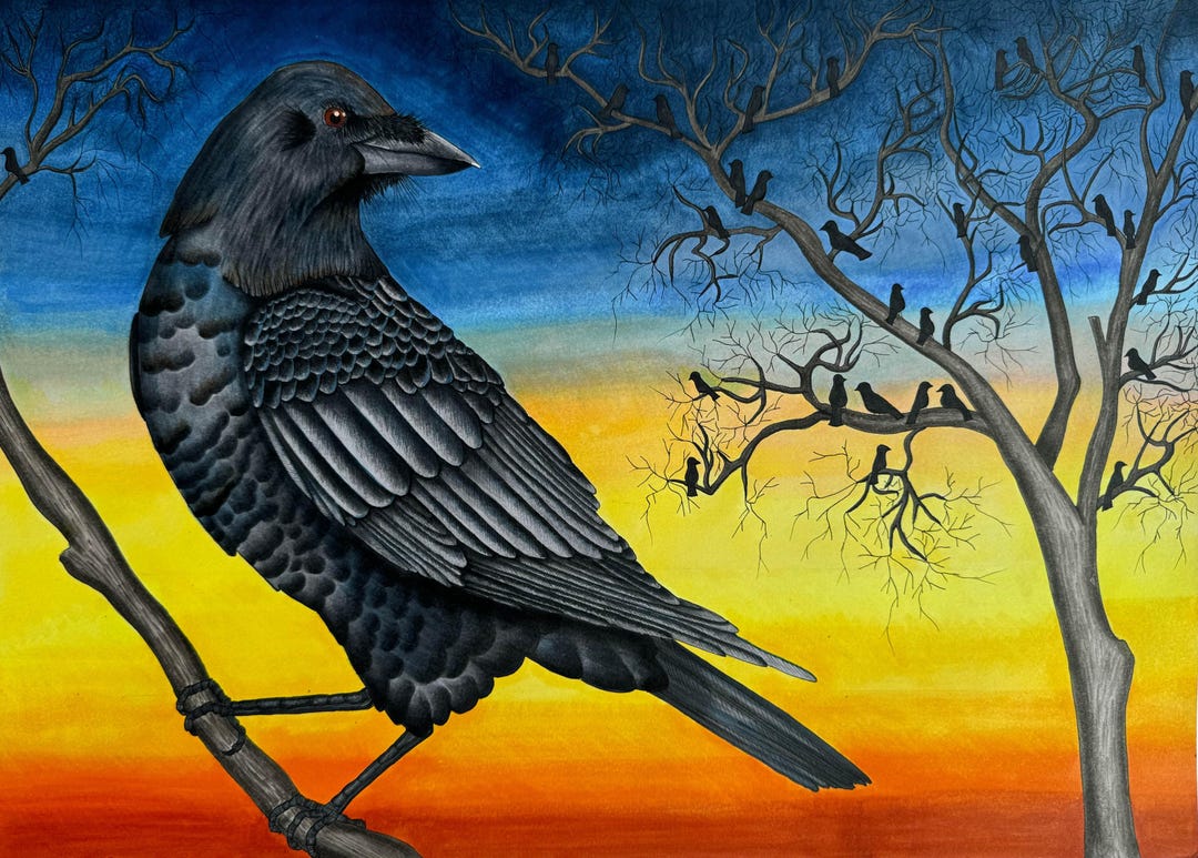American Crow Fine Art Print, Hand Drawn With Alcohol Ink Markers - Etsy