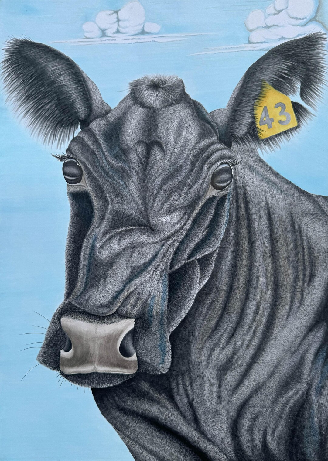 Black Angus Cow Art Print, Hand Drawn With Alcohol Ink Markers - Etsy