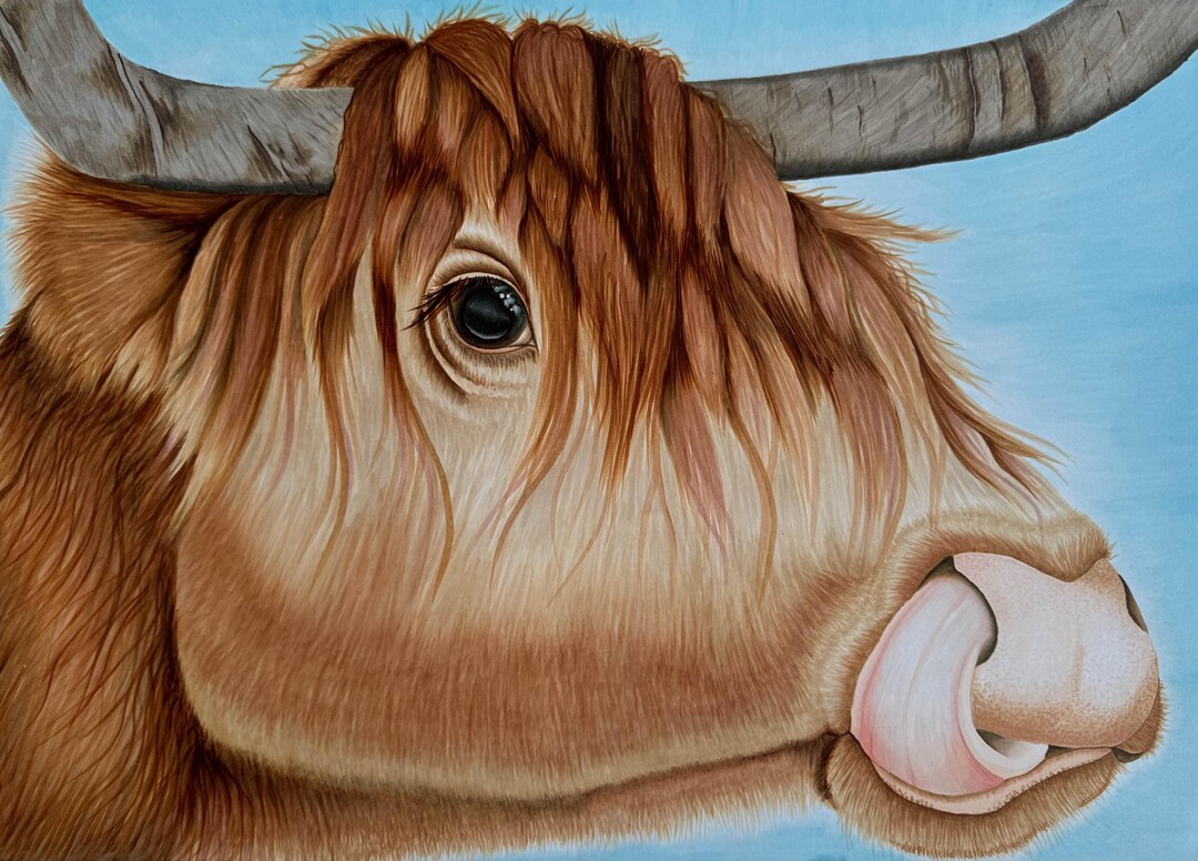 Scottish Highland Cow Fine Art Print, Hand Drawn With Alcohol Ink ...