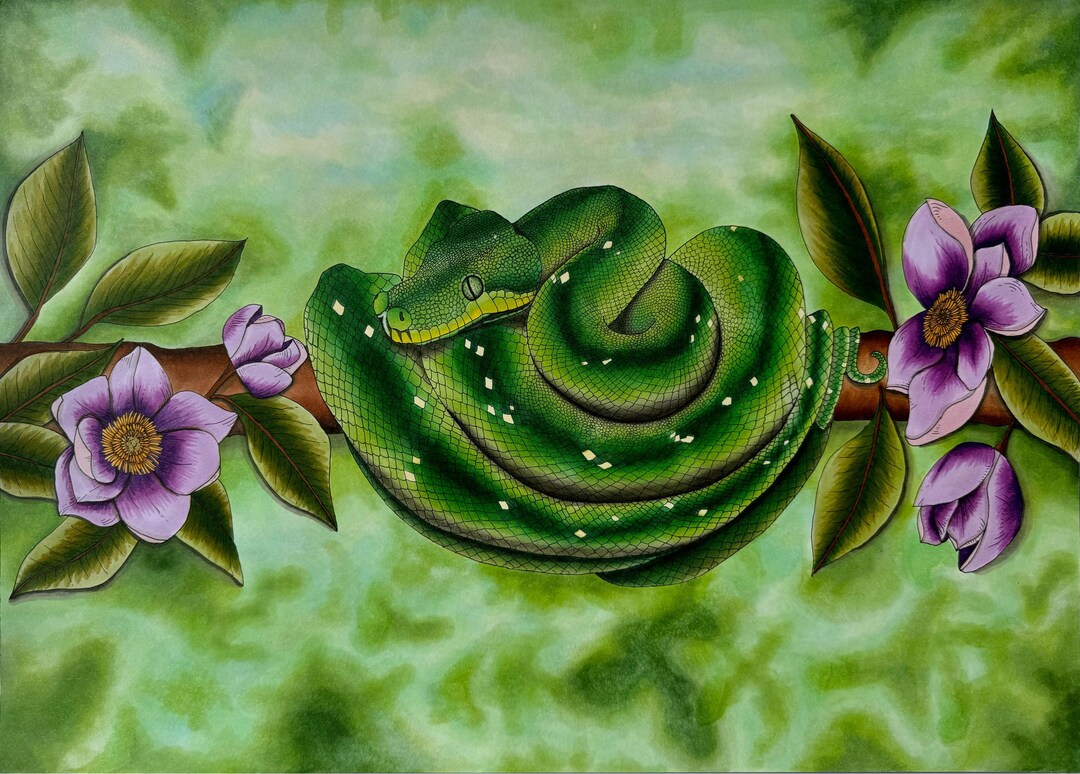 Green Tree Python, Snake Fine Art Print, Hand Drawn With Alcohol Ink ...