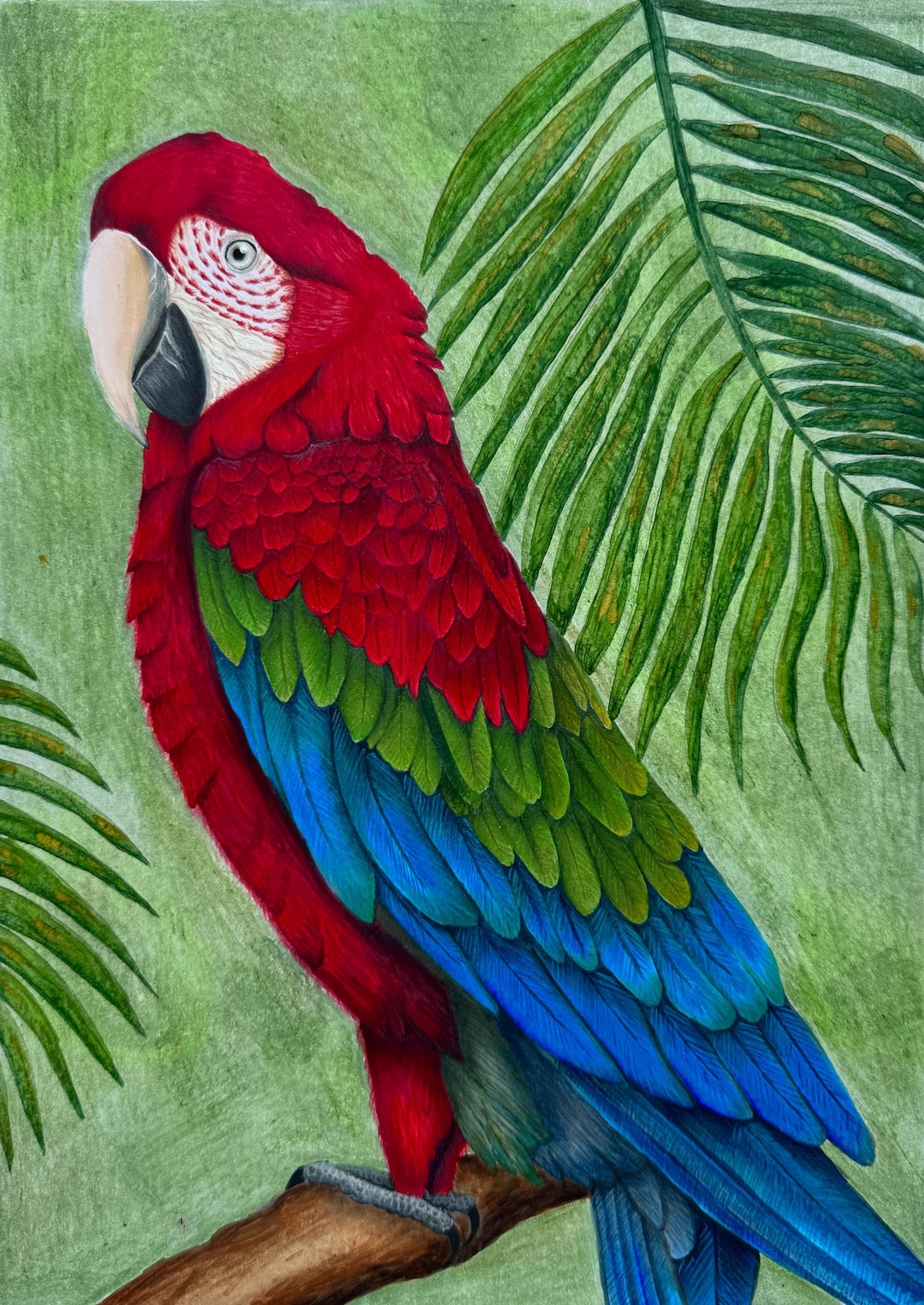 Green-winged Macaw Fine Art Print, Hand Drawn With Alcohol Ink Markers ...