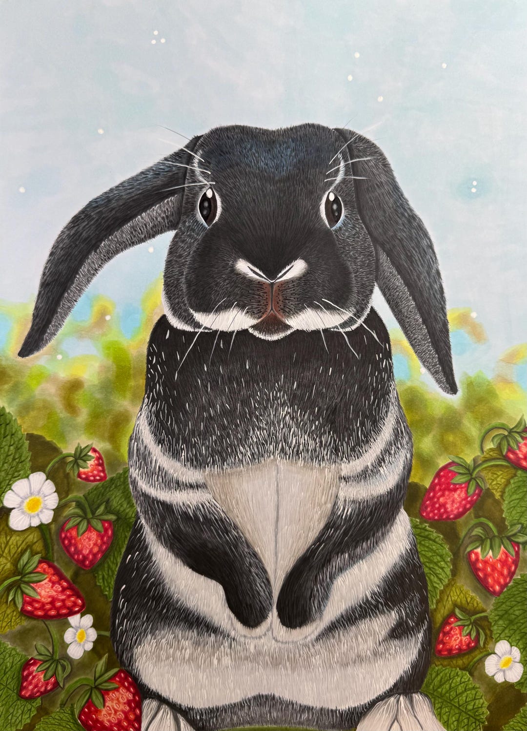 Bunny Rabbit, Fine Art Print, Hand Drawn, Alcohol Ink Markers - Etsy