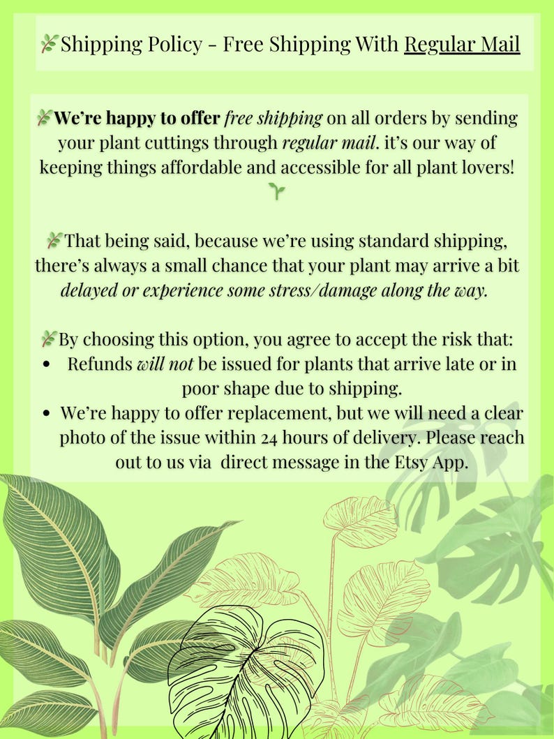Rare Lemon Meringue Epipremnum - Rooted Plant Cuttings – Easy ...