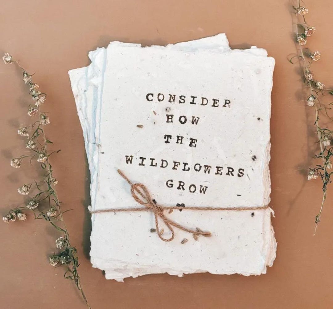 Wildflower Seed Paper: Plantable Paper Christian Gift for Faith, Hope ...
