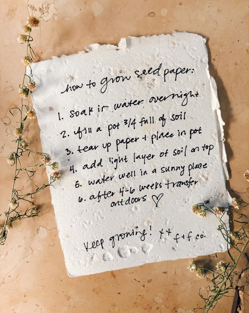 Wildflower Seed Paper / Plantable Paper / Faith Hope Encouragement ...