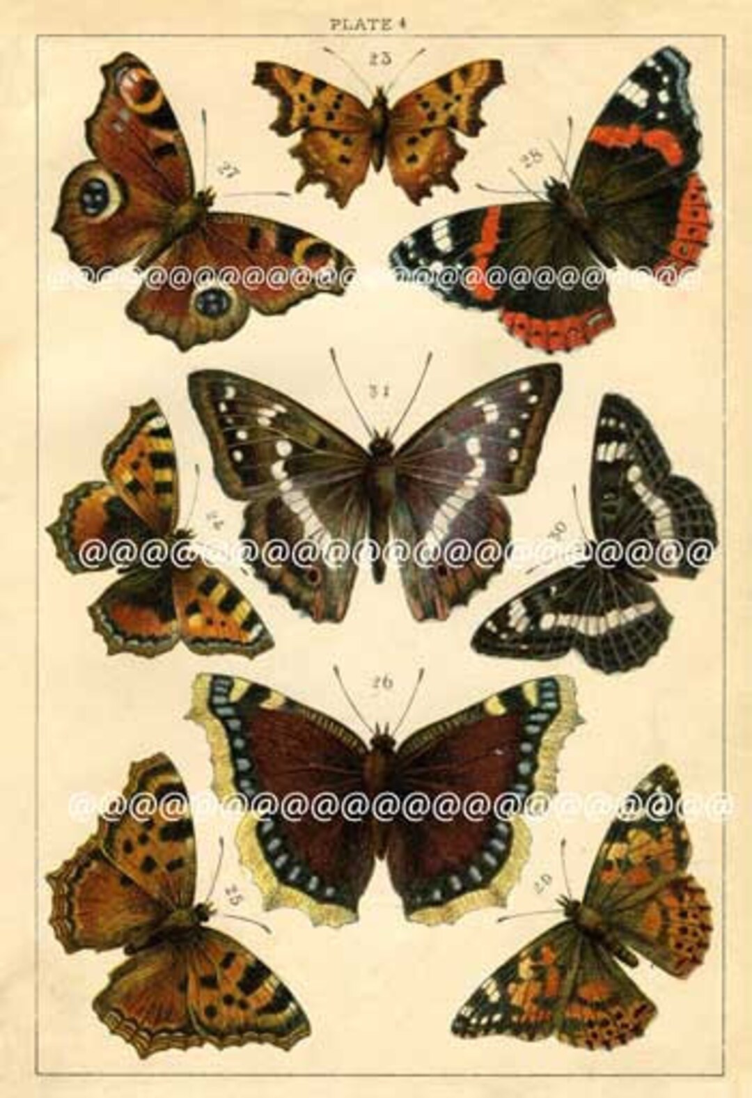 Decorative Vintage Paper Vintage Butterfly Decoupage Paper - Etsy